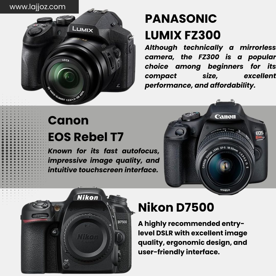 The Ultimate Guide of Choosing the Best DSLR Camera for Beginners in 2024